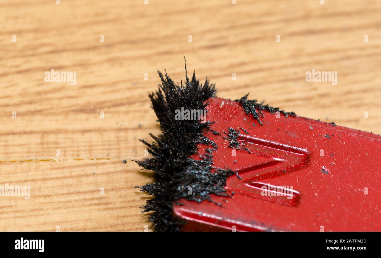 Closeup of iron filings attached to red colored north end of magnet on ...