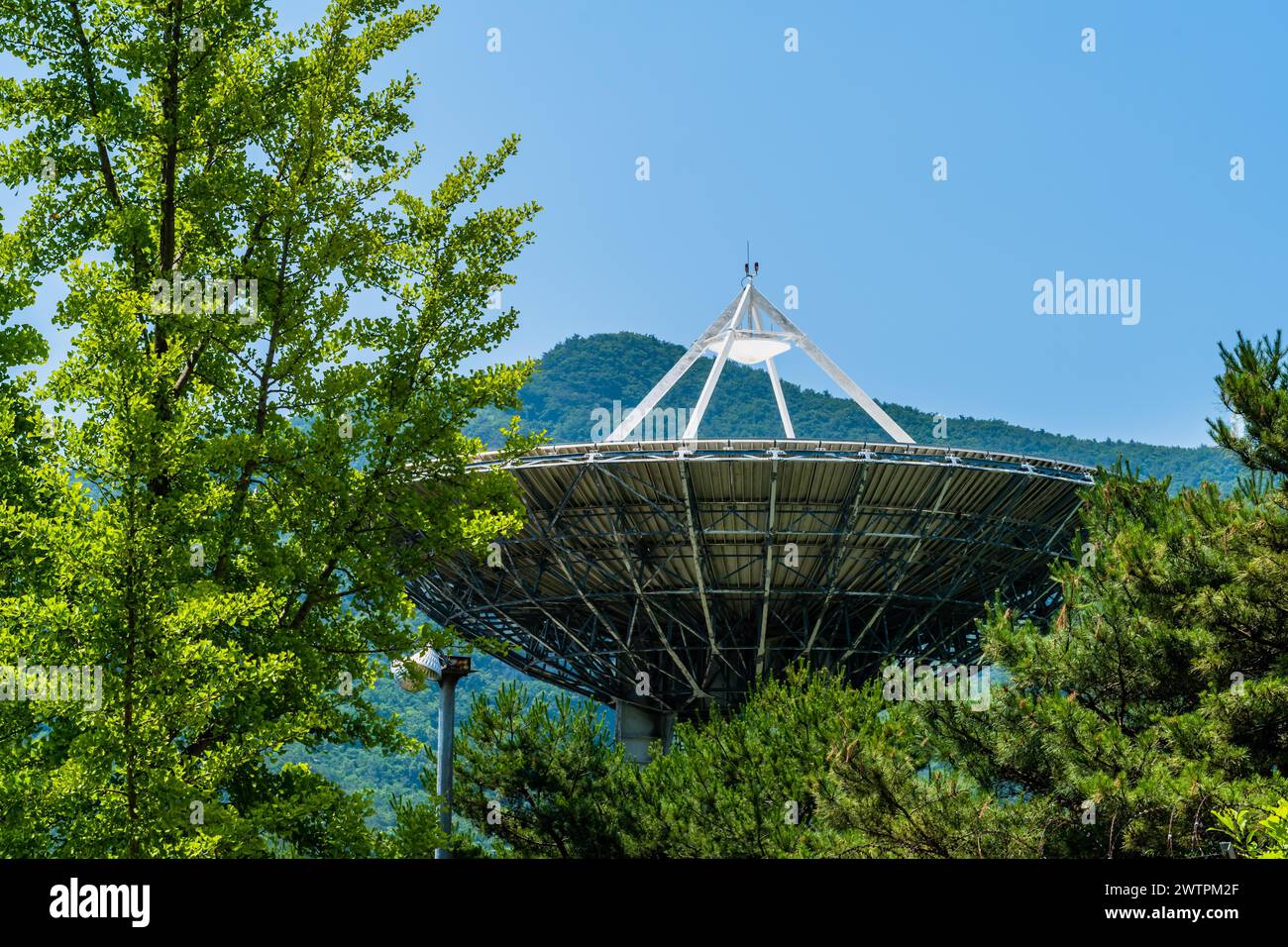 A radome amidst vibrant green foliage with mountain backdrop under a ...