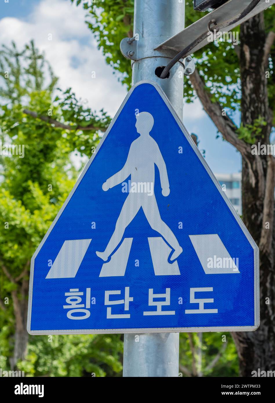 Blue pedestrian crosswalk sign with a single figure and Korean text, in ...
