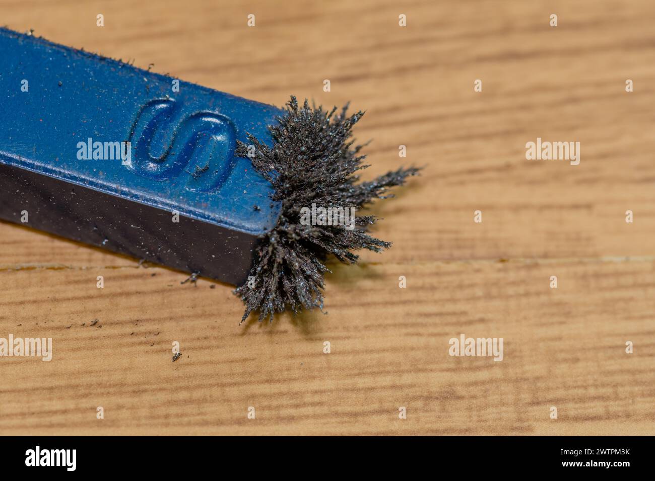 Closeup of iron filings attached to blue colored south end of magnet on ...