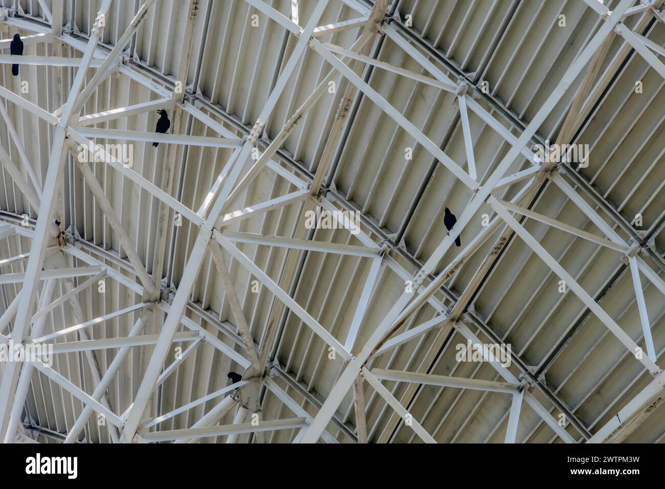 Interwoven gray metal beams creating a dense geometric pattern, in ...