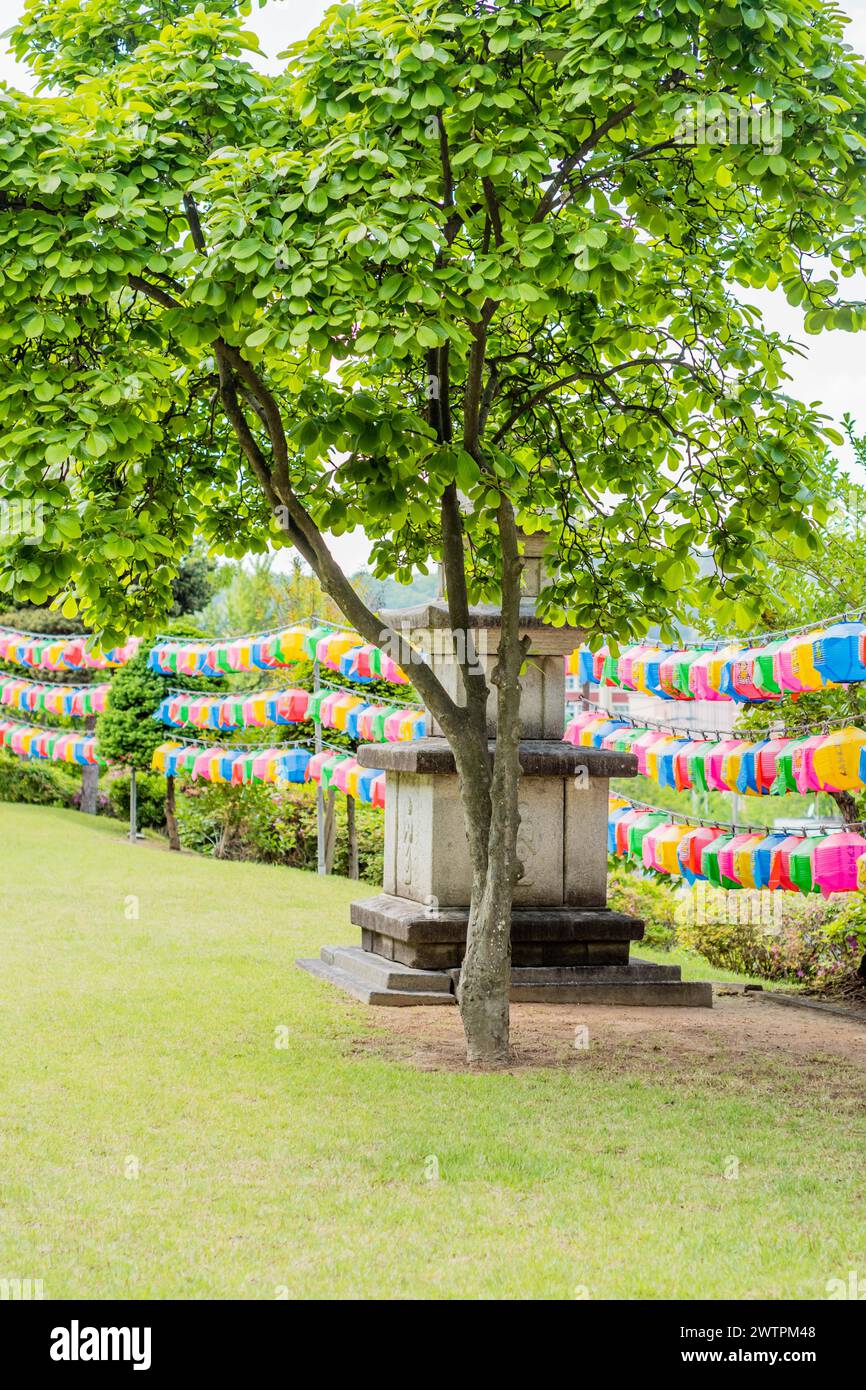 A serene park corner with a tree and colorful prayer flags fluttering ...