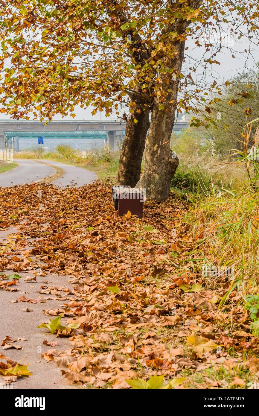 Well worn pathway hi-res stock photography and images - Alamy