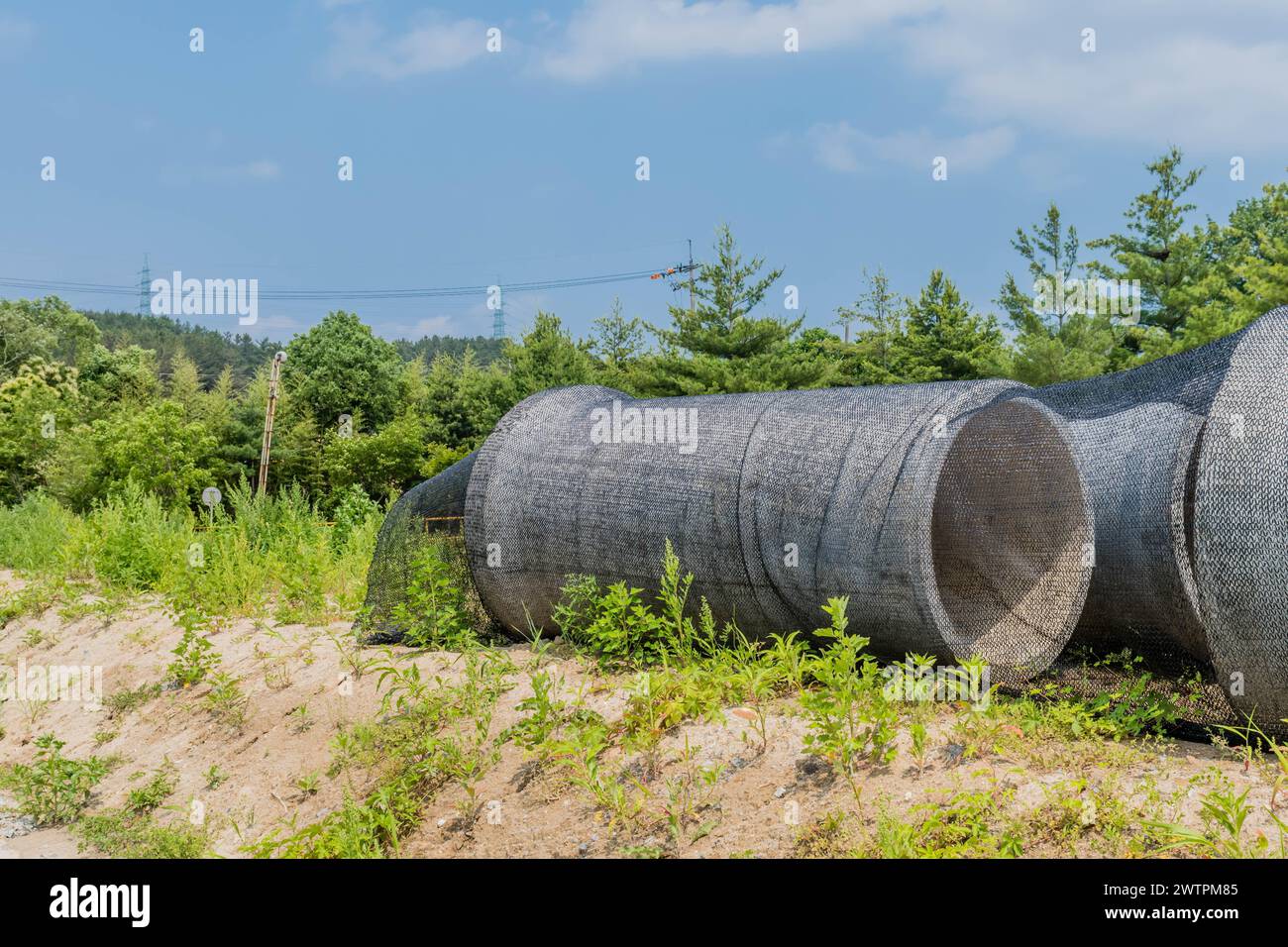 Large cylindrical pipes wrapped in wire mesh lying in a grassy area, in ...