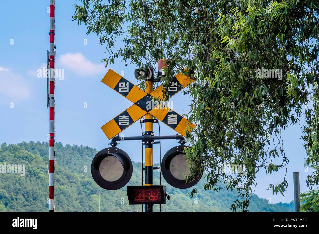 Traffic signal with warning lights framed by greenery and clear sky, in ...