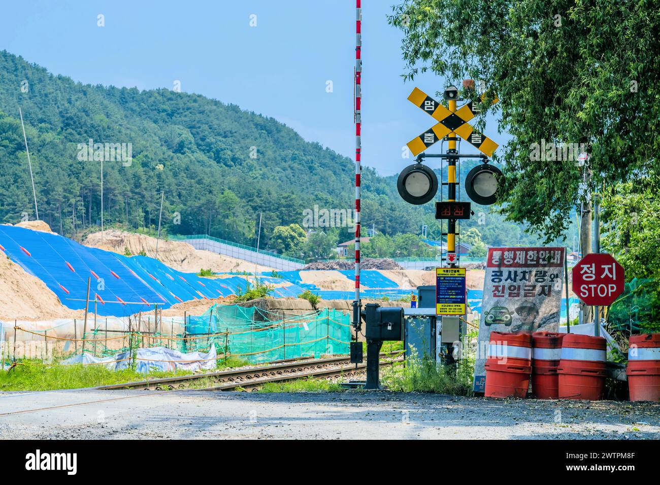A railroad crossing with warning signs and barriers surrounded by lush ...