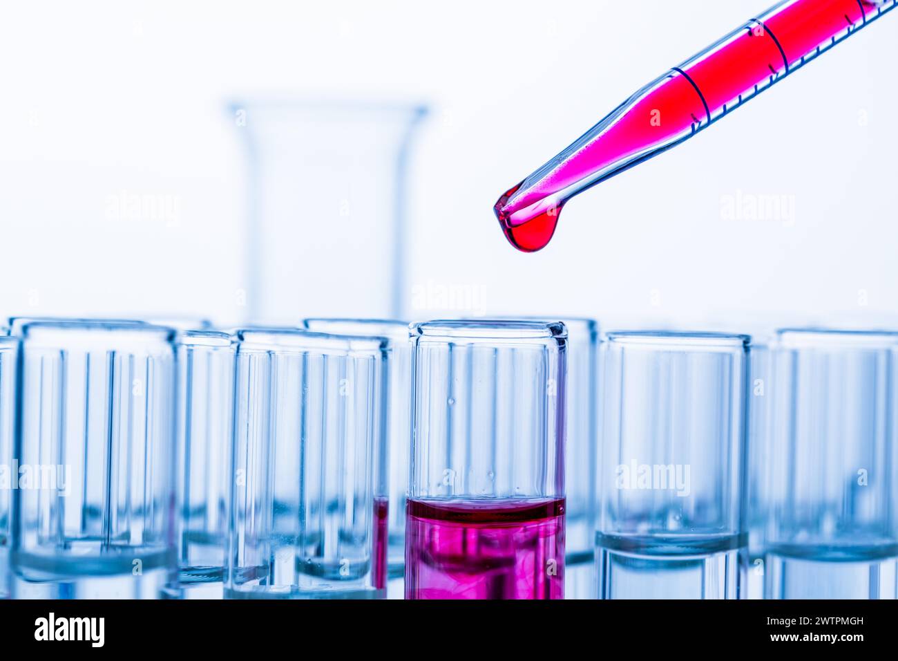 Many test tubes during an experiment in a university research ...