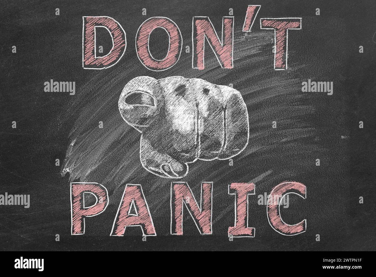 Closeup of a human hand pointing at you with lettering DONT PANIC ...