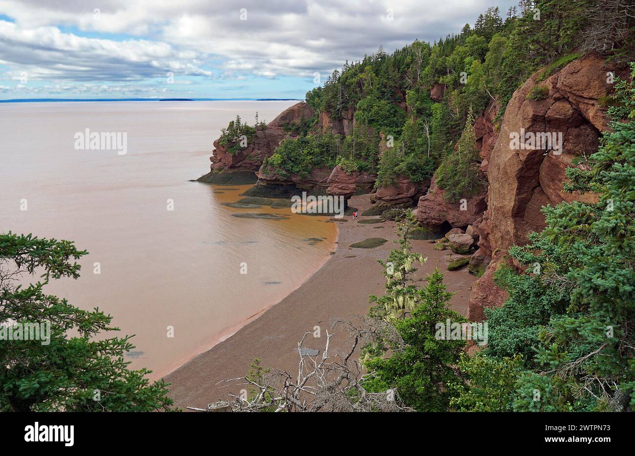 Coastal landscape at low tide, red sandstone cliffs, Hopewell Rocks ...