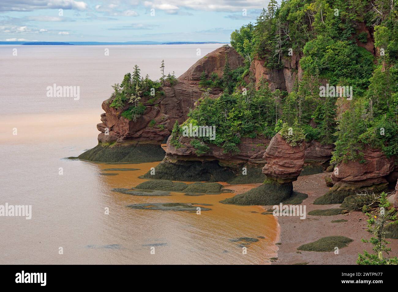 Coastal landscape at low tide, red sandstone cliffs, flower pots ...
