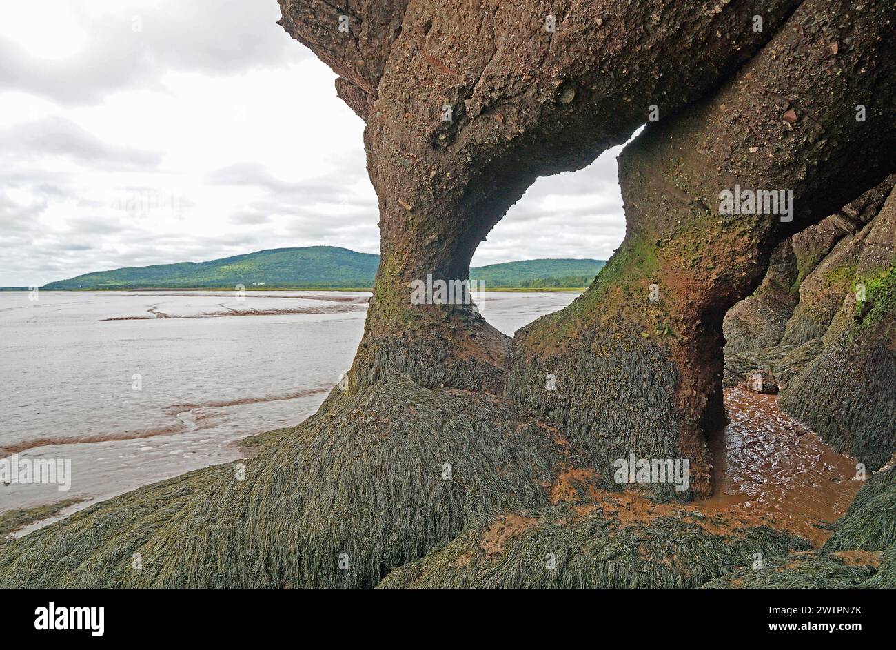 Coastal landscape at low tide, brown sandstone arch, Hopewell Rocks ...