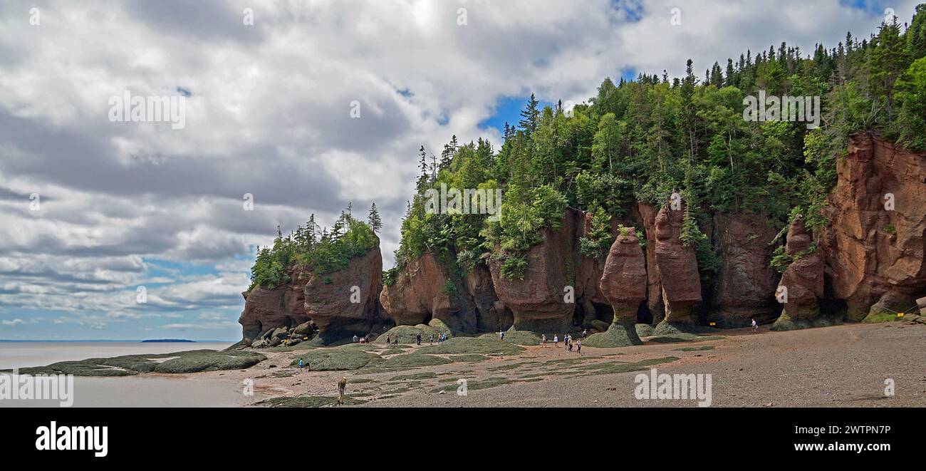 Coastal landscape at low tide, red sandstone cliffs, Hopewell Rocks ...