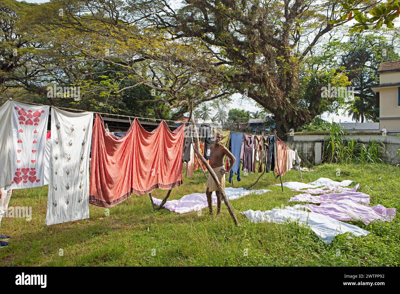 Indian man at the washing line in the laundry Dhoby Khana, Kochi ...