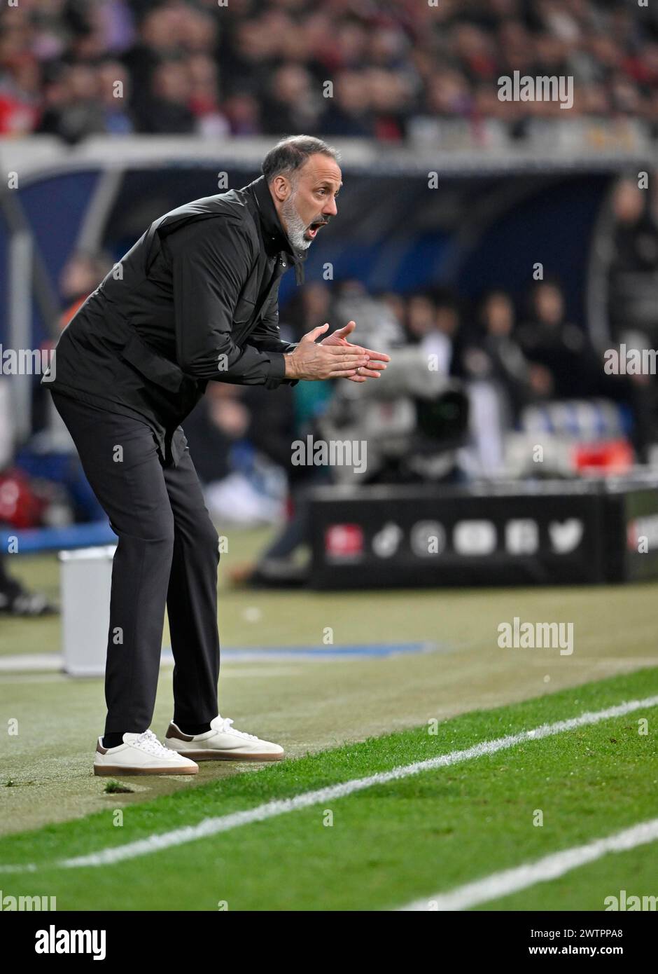 Coach Pellegrino Matarazzo TSG 1899 Hoffenheim on the sidelines ...