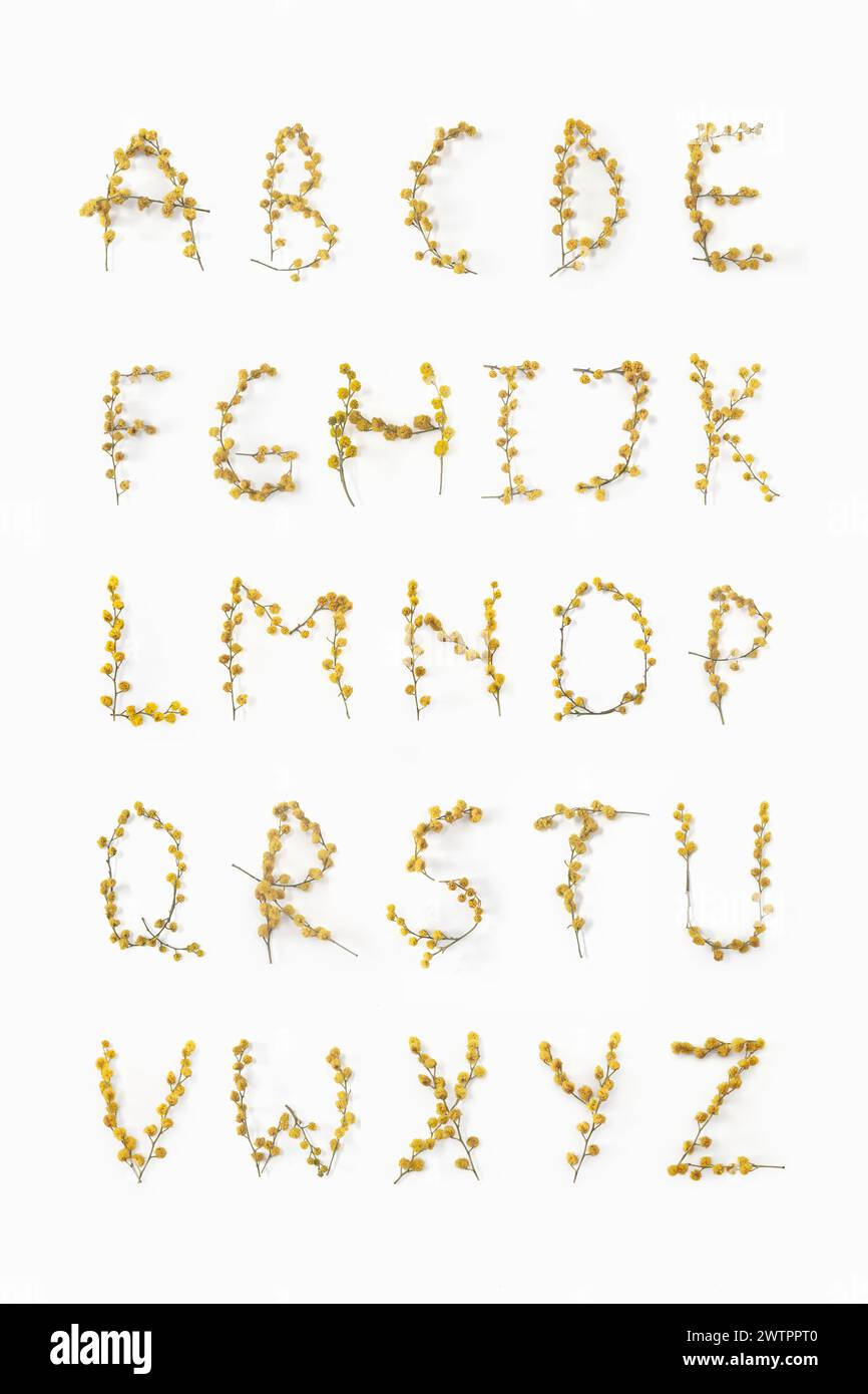 Flower letters. Alphabet made from flowers mimosa yellow. Minimalism ...