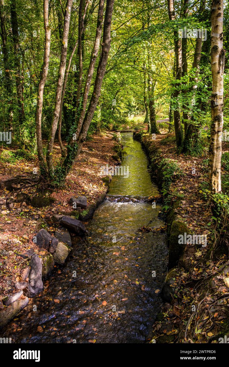 A stream flowing alongside a path in Tehidy Woods Country Park in ...