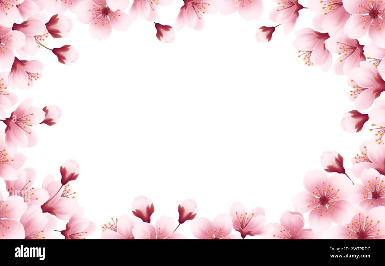Cherry Blossom Flower Border