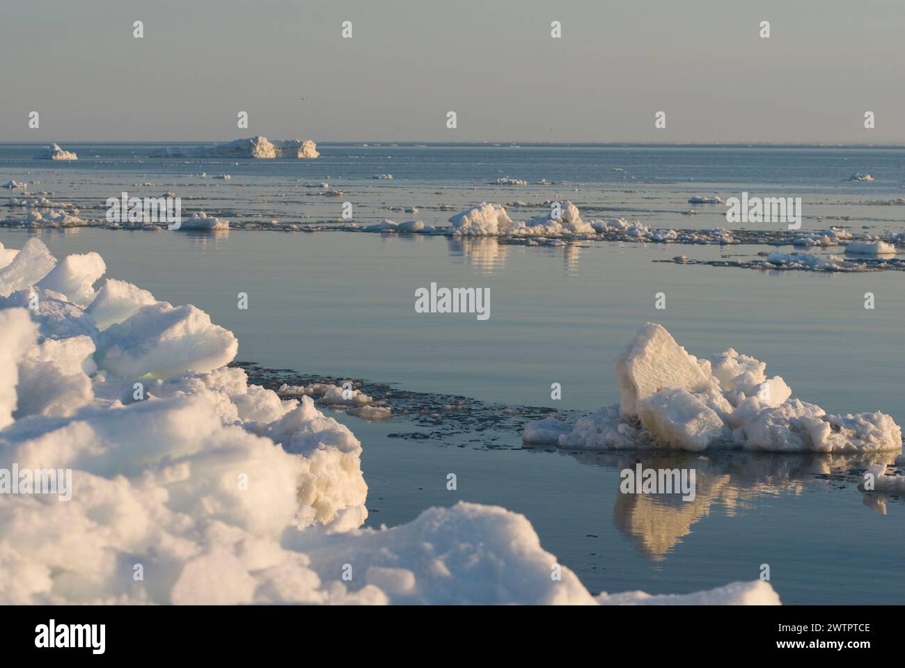 Seascape of open lead rough pack ice over the Chukchi sea in springtime ...
