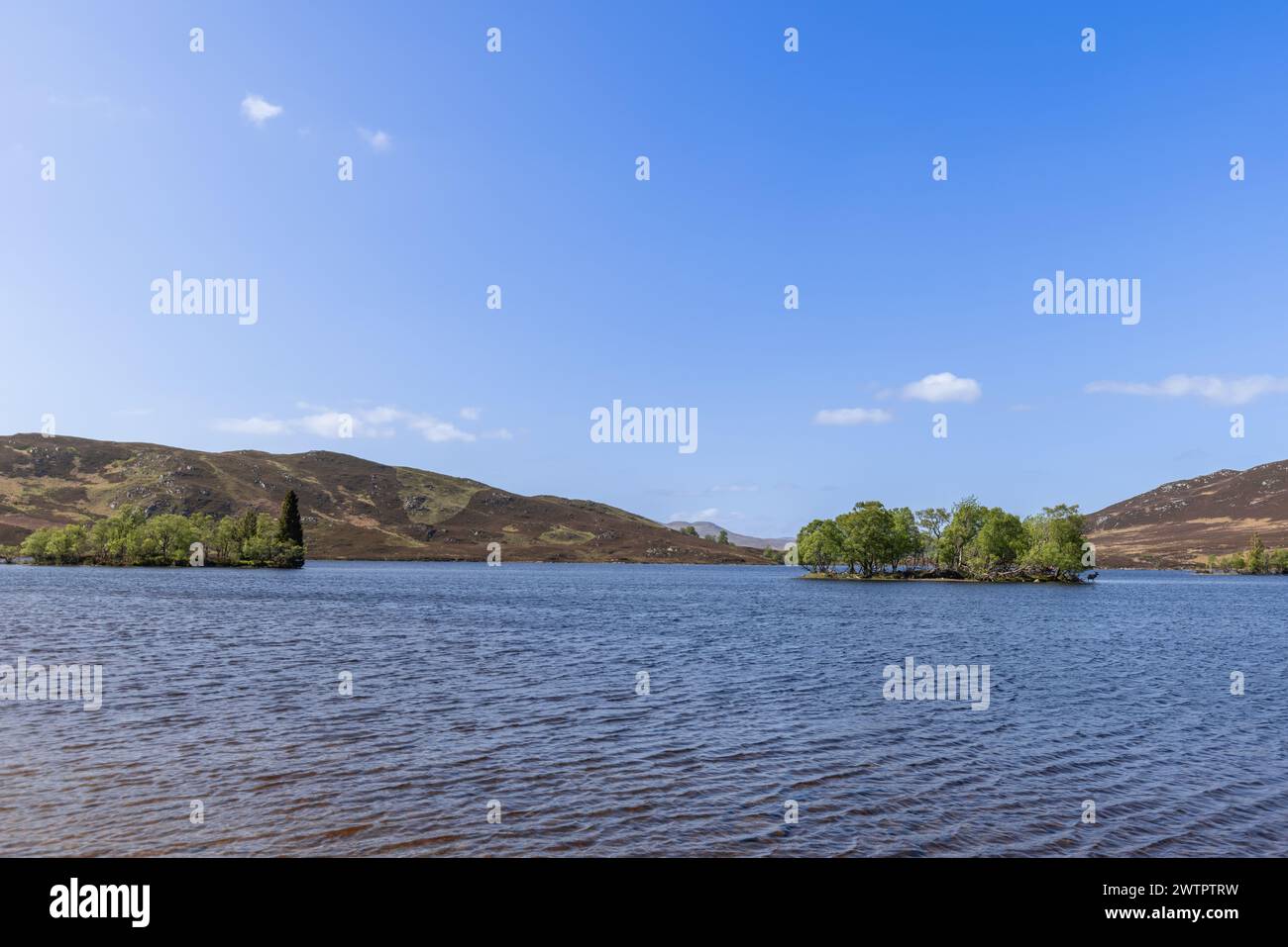 Nestled in the serene waters of a Scottish loch, an island thrives with ...