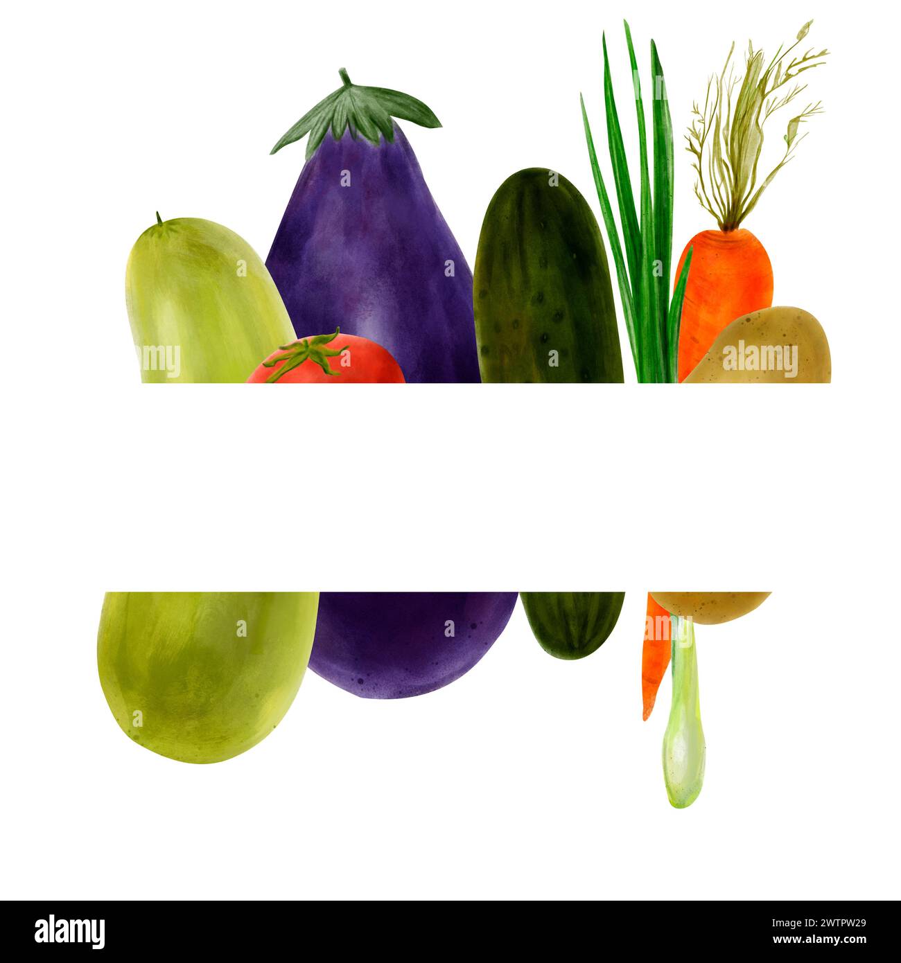 Watercolor vegetables in a frame. Vegetable banner, frame with eggplant ...