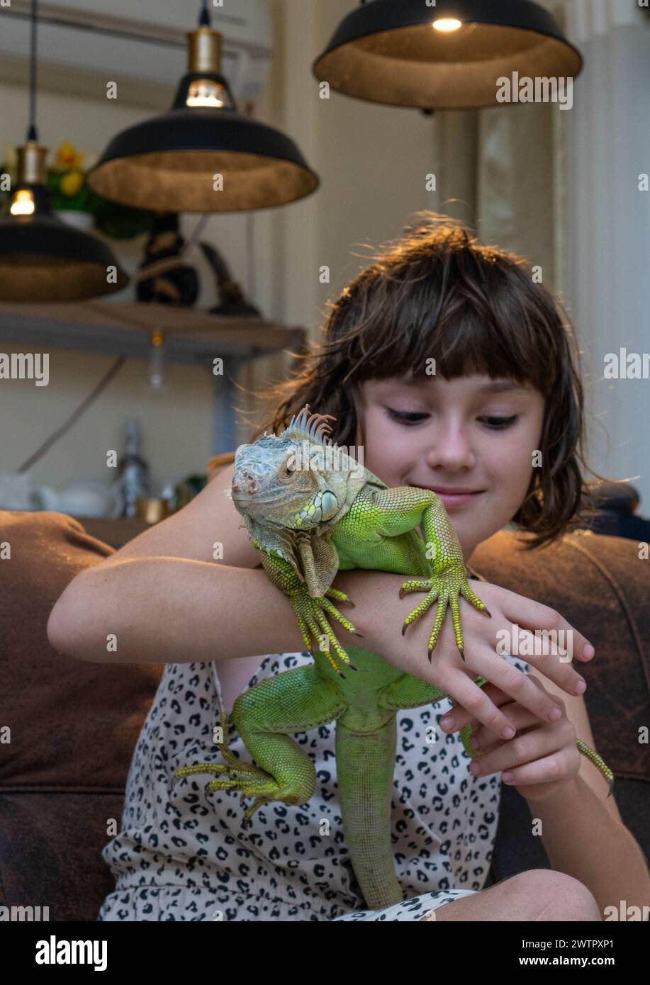 Reptile in human hands. The girl smiles and holds an iguana in her ...