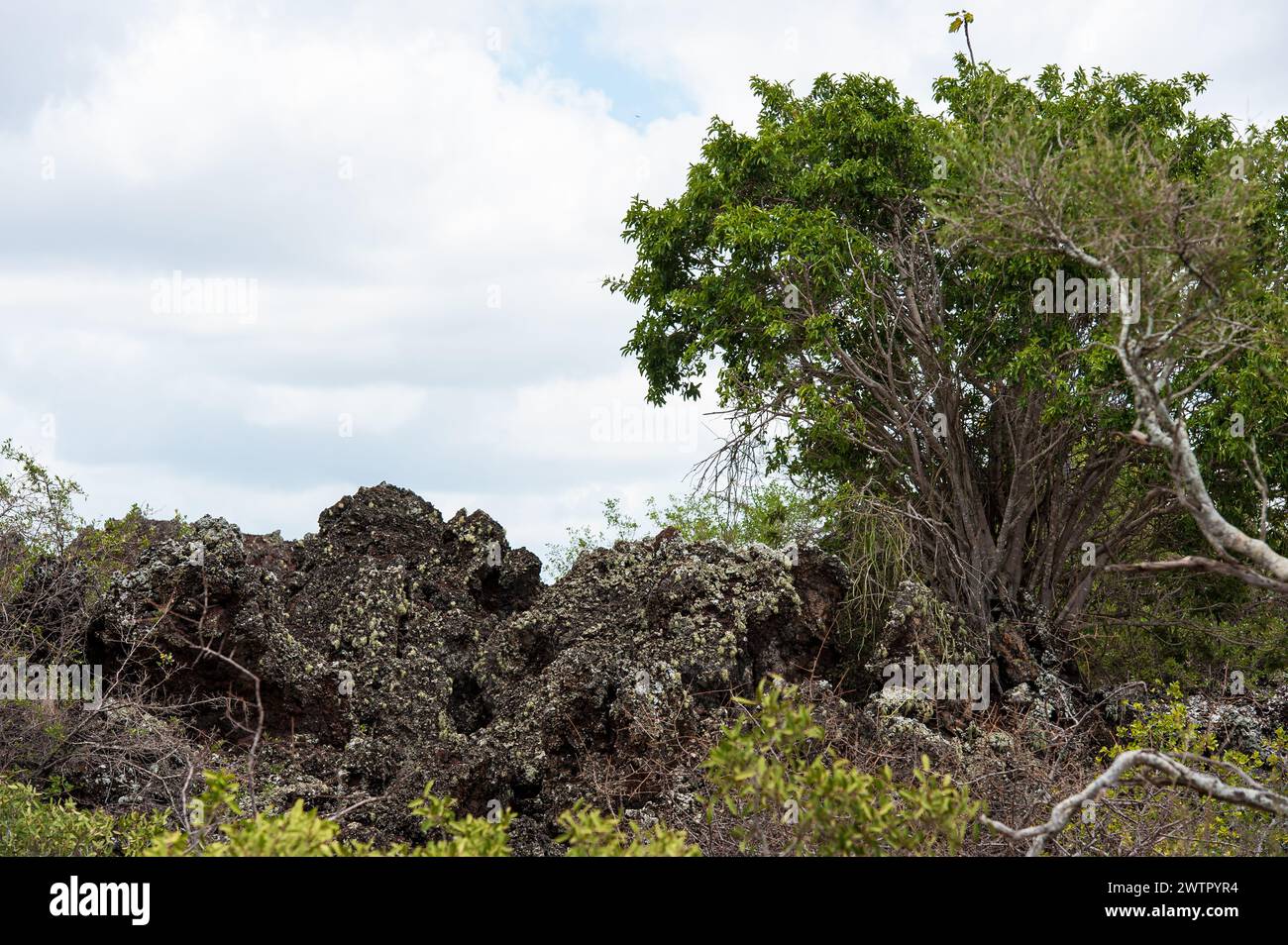 last volcanic eruption in Kenya Stock Photo - Alamy