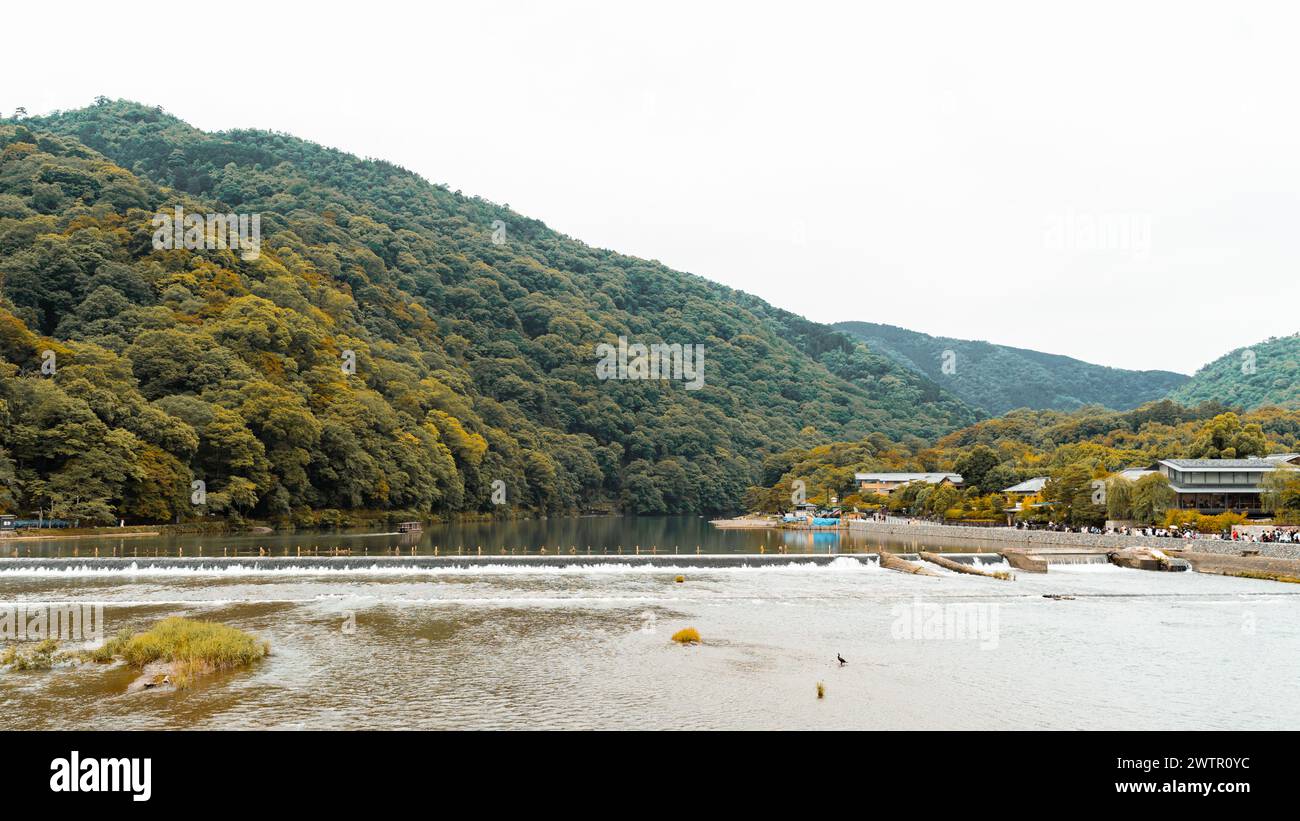 arashiyama monkey park, sanctuary, kyoto, japan - june 2023 Stock Photo ...