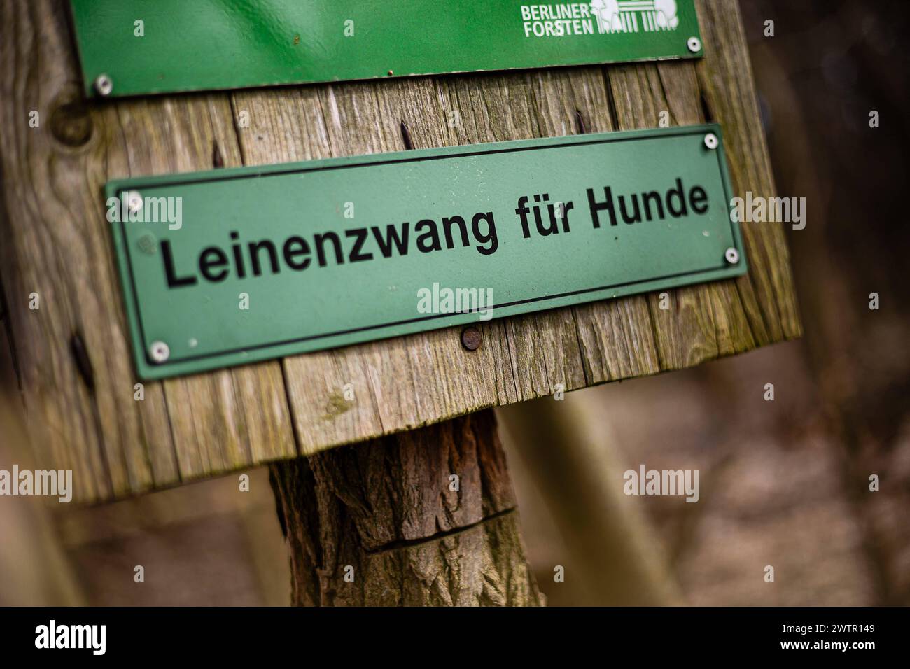 Ein Hinweisschild zum Leinenzwang für Hunde in einem Wald am 18. März ...