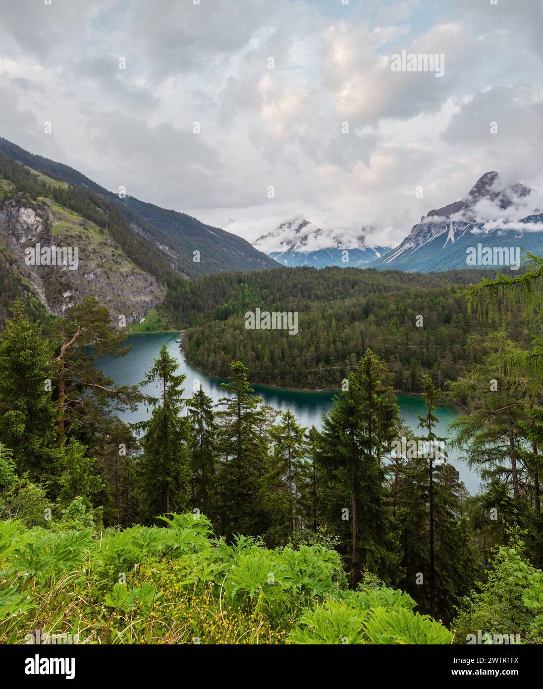Blindsee summer landscape. Overcast day. Fernpass, Austria, Zugspitze ...