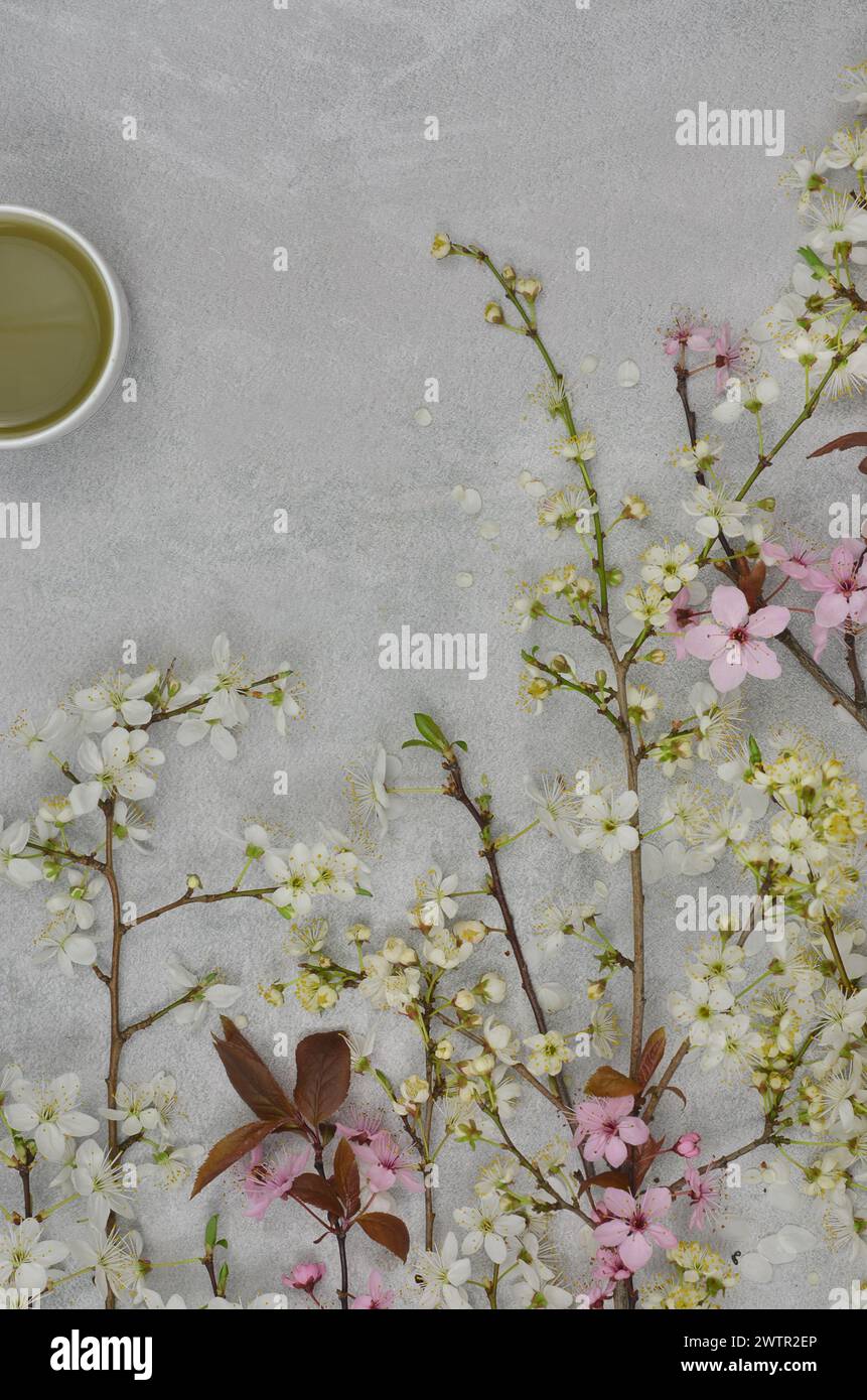 Cherry blossom on a grey background, matcha, texture, sakura, japanese ...