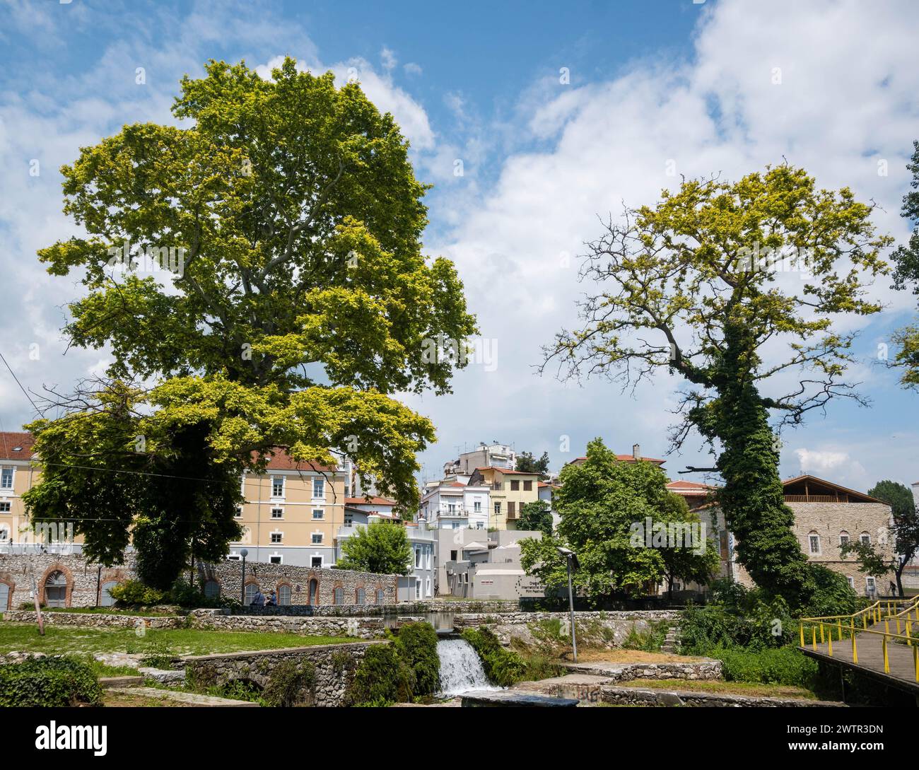 spring colorful flowers and green forests and fresh air Stock Photo - Alamy