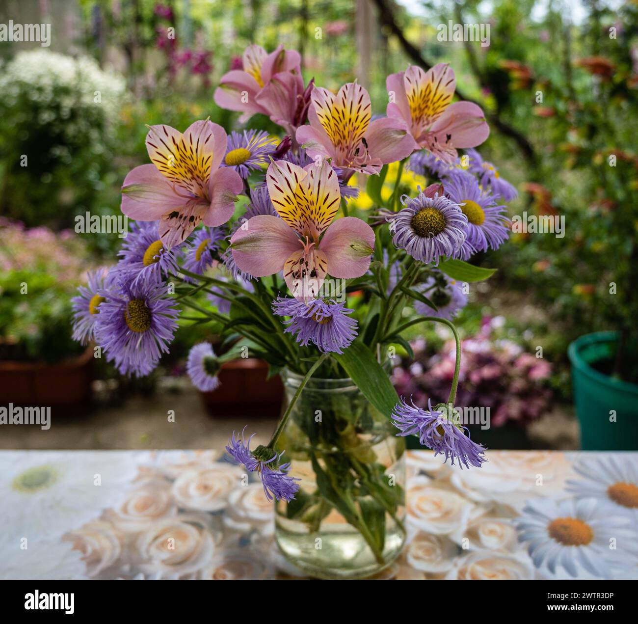 Air fresh spring hi-res stock photography and images - Alamy