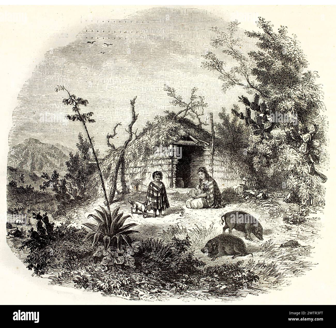 Native american hut drawing hi-res stock photography and images - Alamy