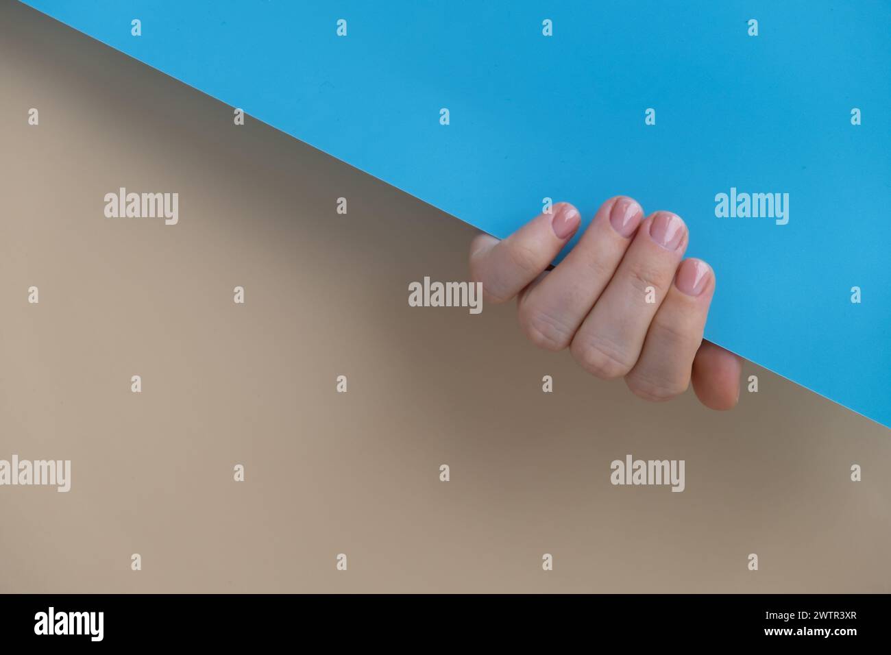 Pastel softness manicured nails on beige blue background. Woman showing ...