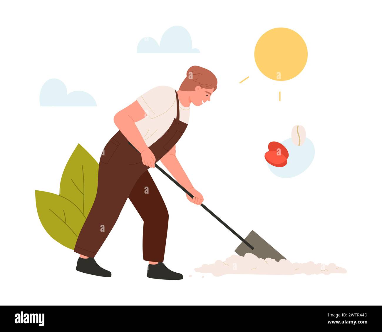 Drying coffee beans process. Natural coffee production cartoon vector ...