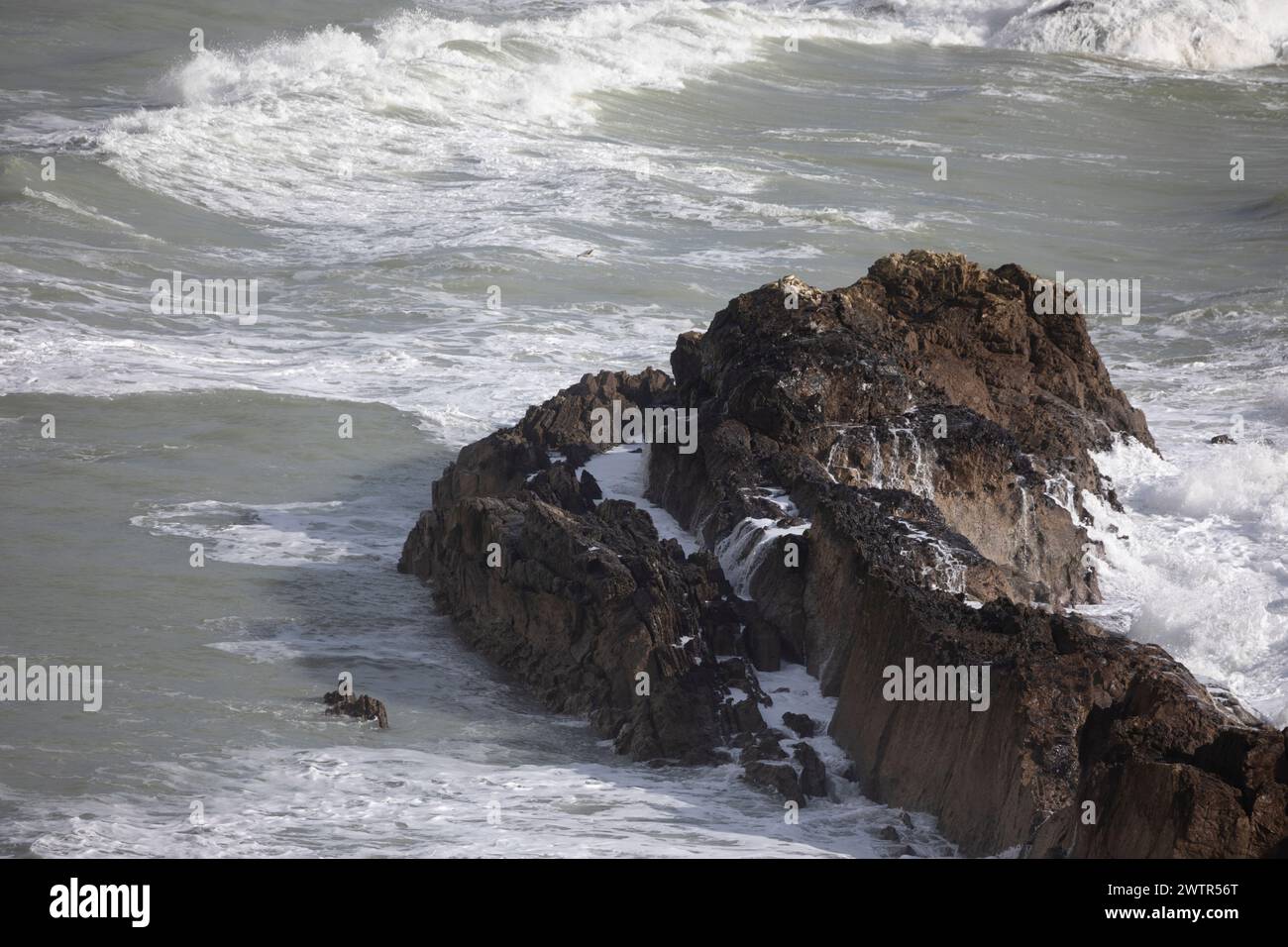 Rocks and sea off the Dorset coast at St Oswald's Bay, in March, Dorset ...