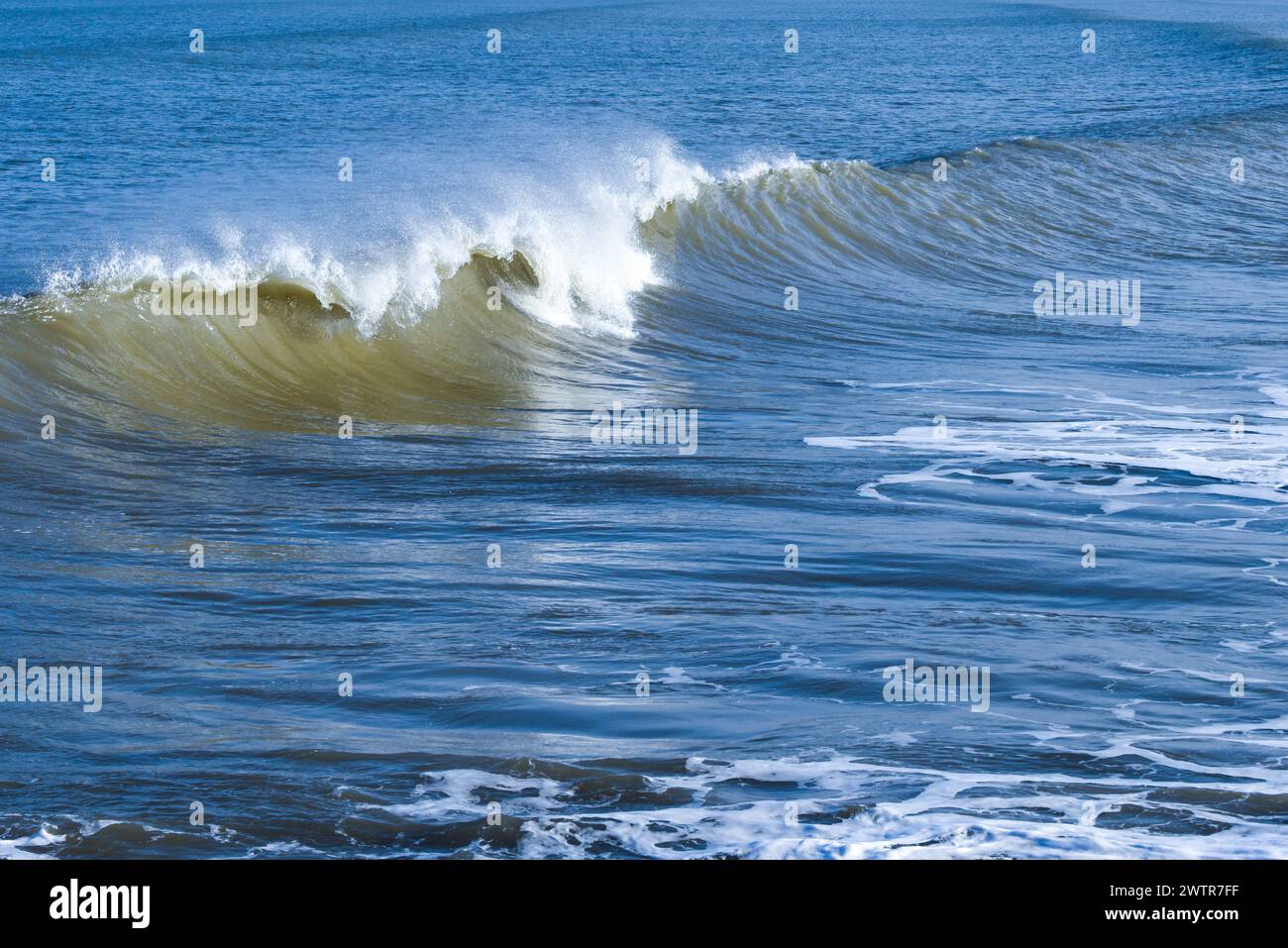 A single wave breaks with white water in the ocean Stock Photo - Alamy