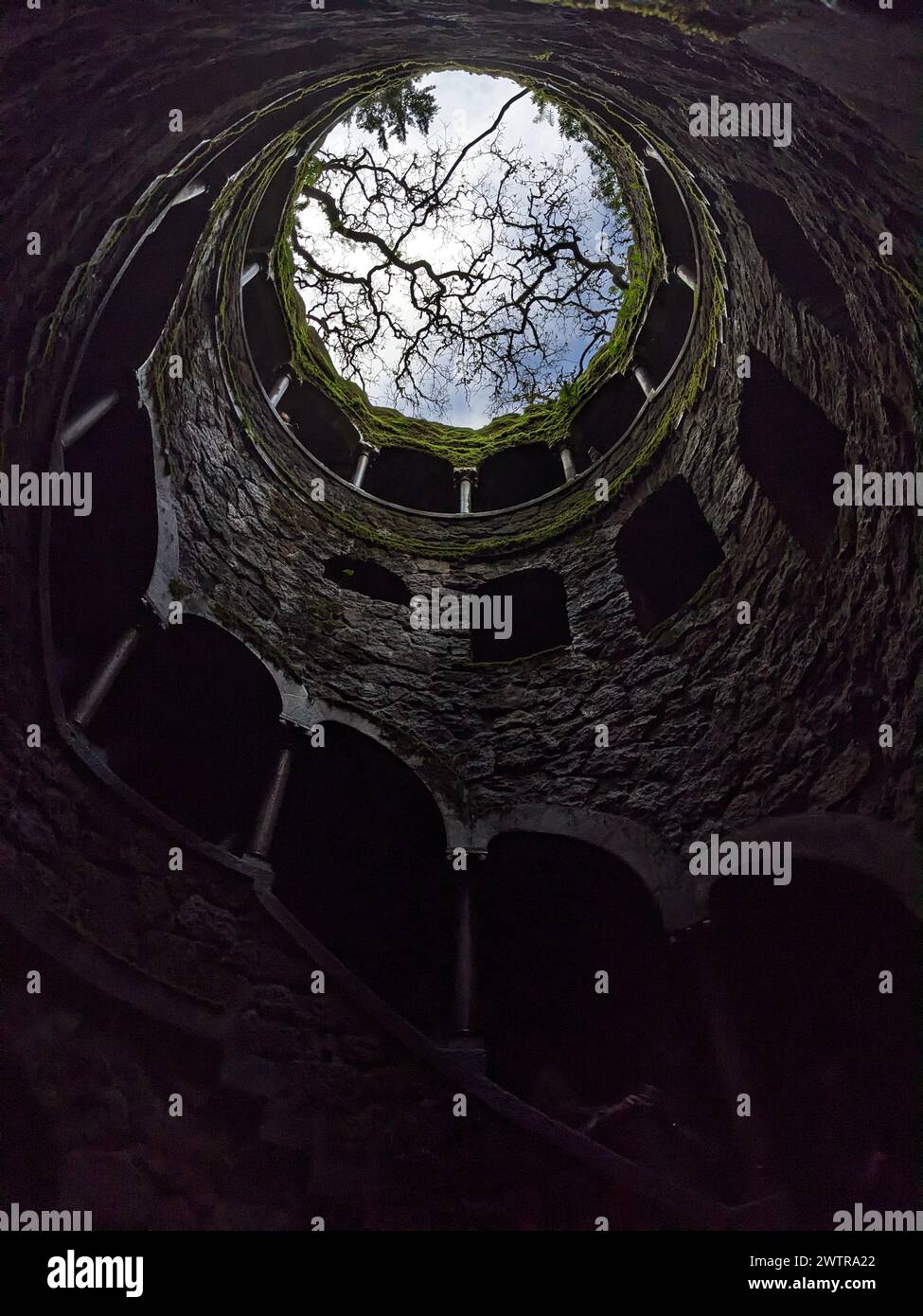 An aged structure with a circular window surrounded by trees ...