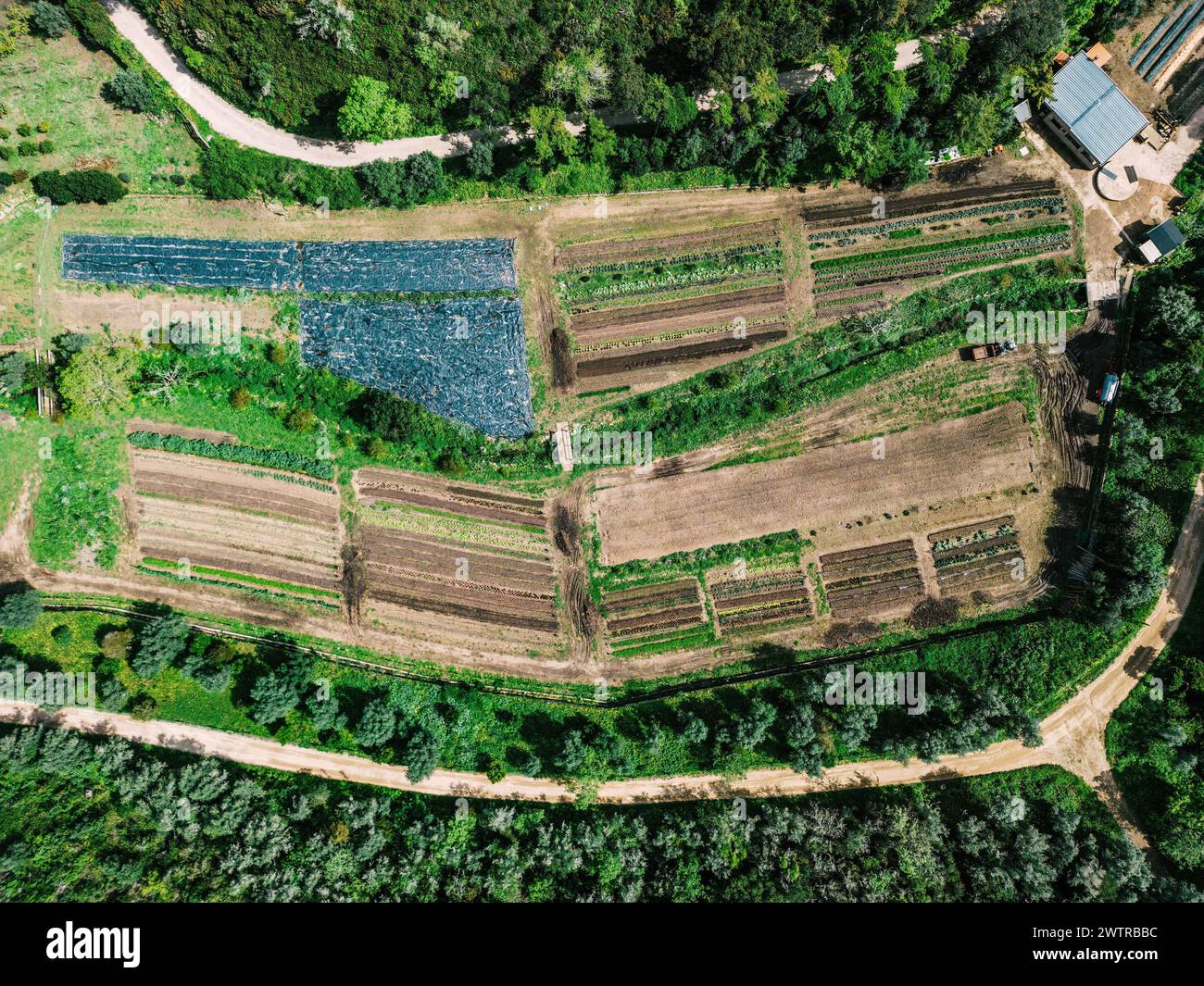 An overhead look showcases the organized rows of varying crops on a ...
