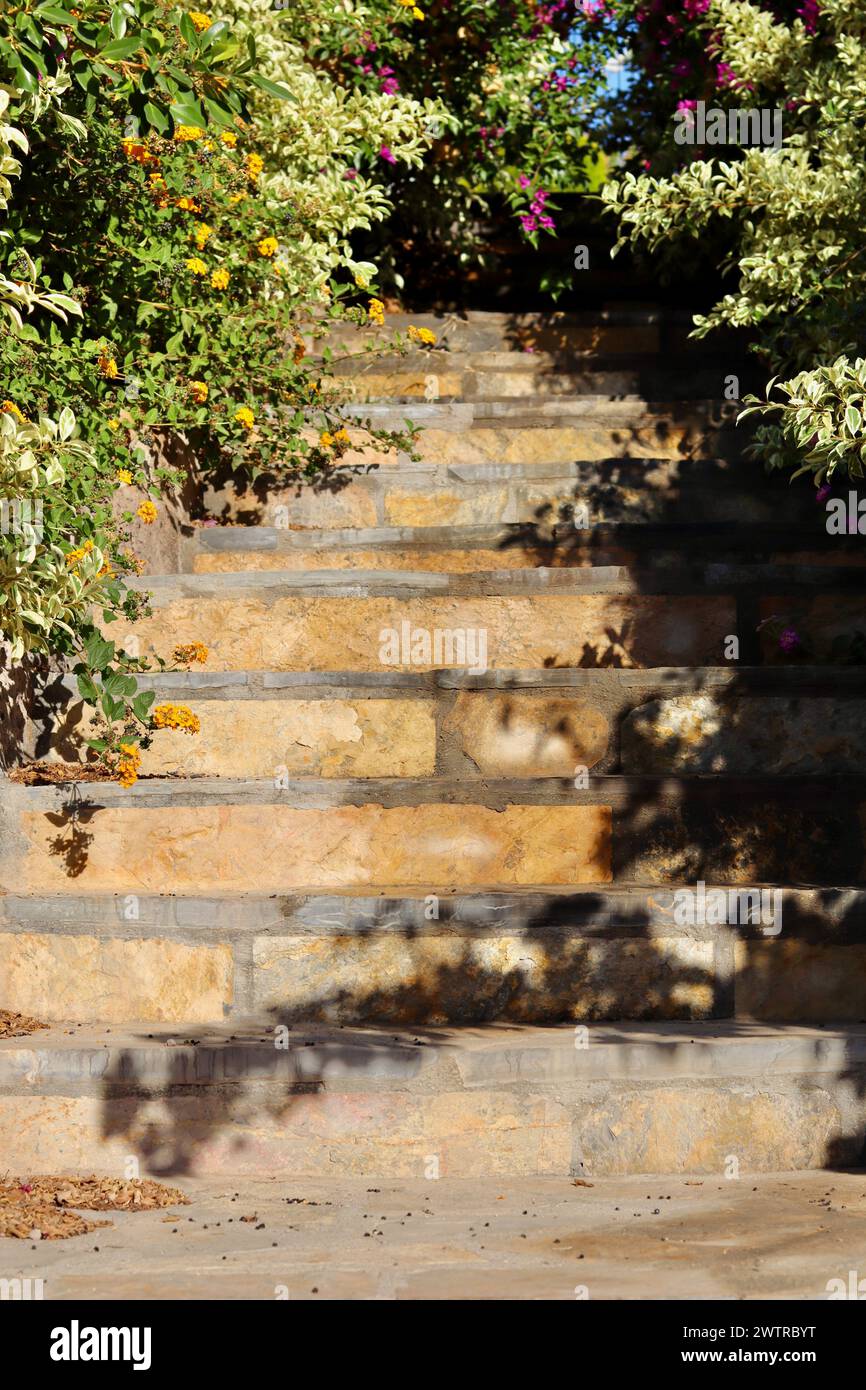 Natural stone steps stairs in the tropical garden. Summer vacation and ...