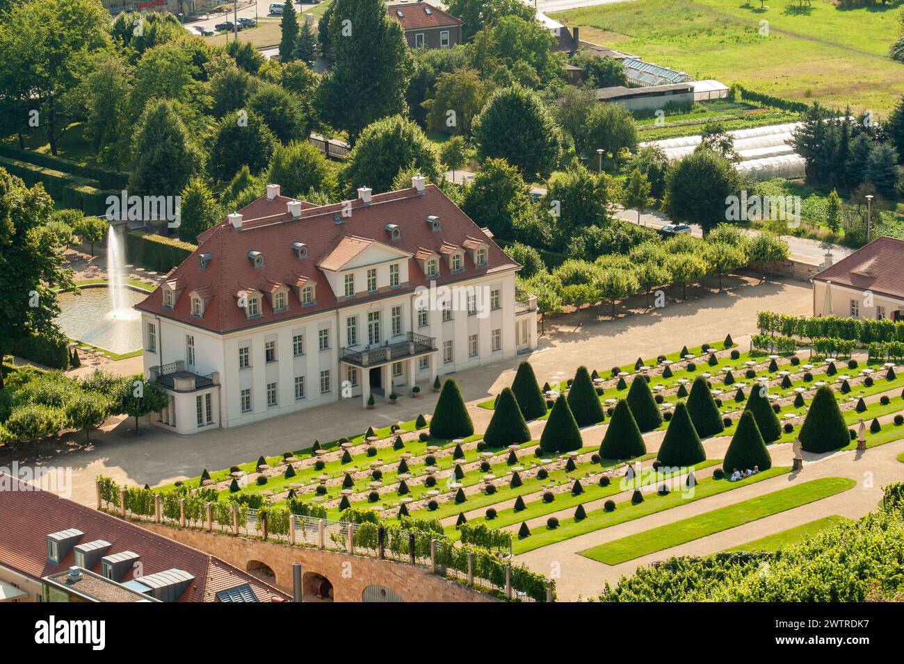 Aerial view of a luxurious mansion surrounded by trees and lush green ...