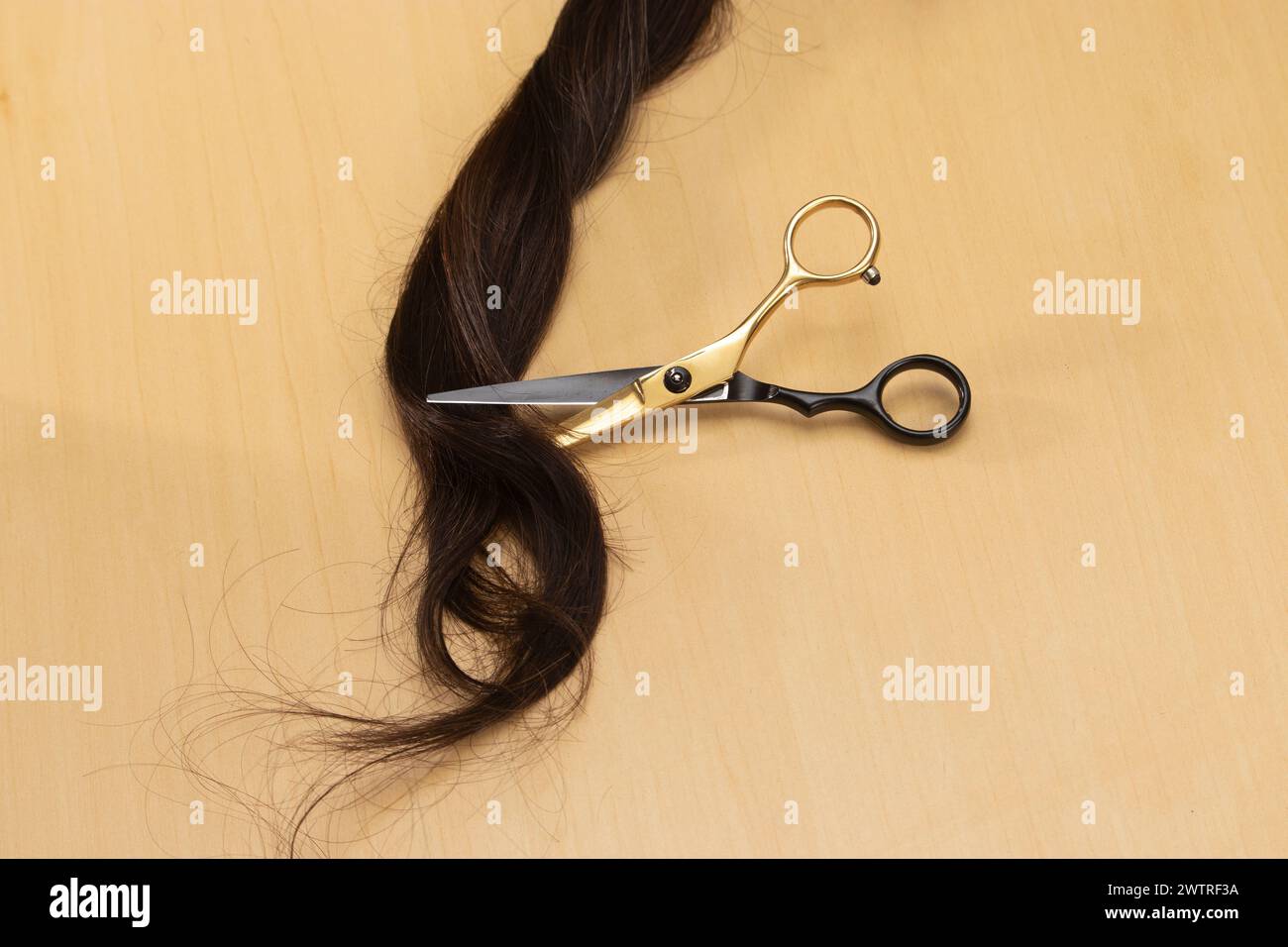 A pair of scissors cuts and ties long black hair Stock Photo - Alamy