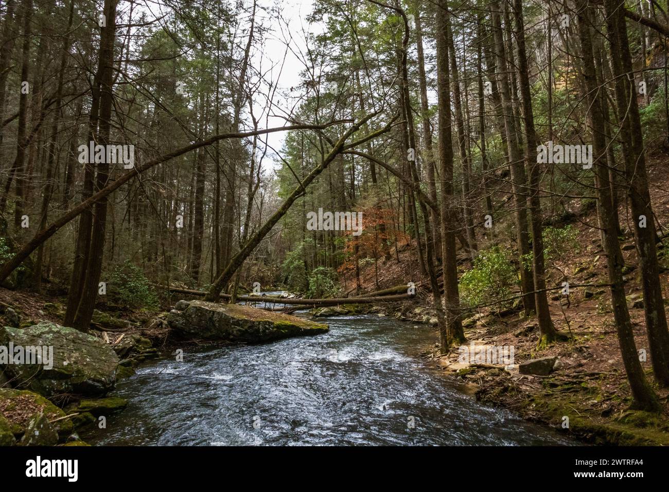 Fast moving creek hi-res stock photography and images - Alamy
