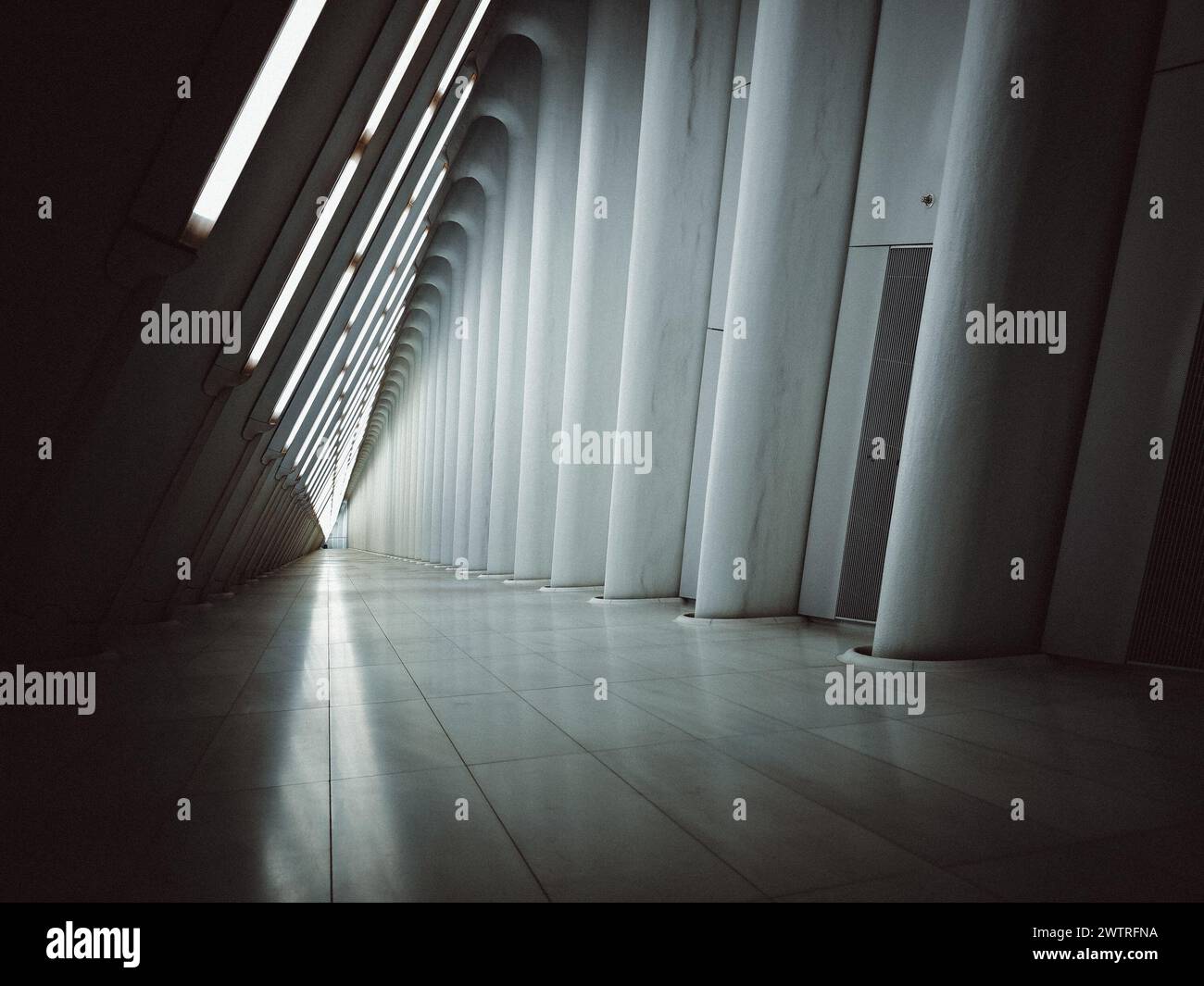 A spacious room with multiple columns aligned closely Stock Photo - Alamy