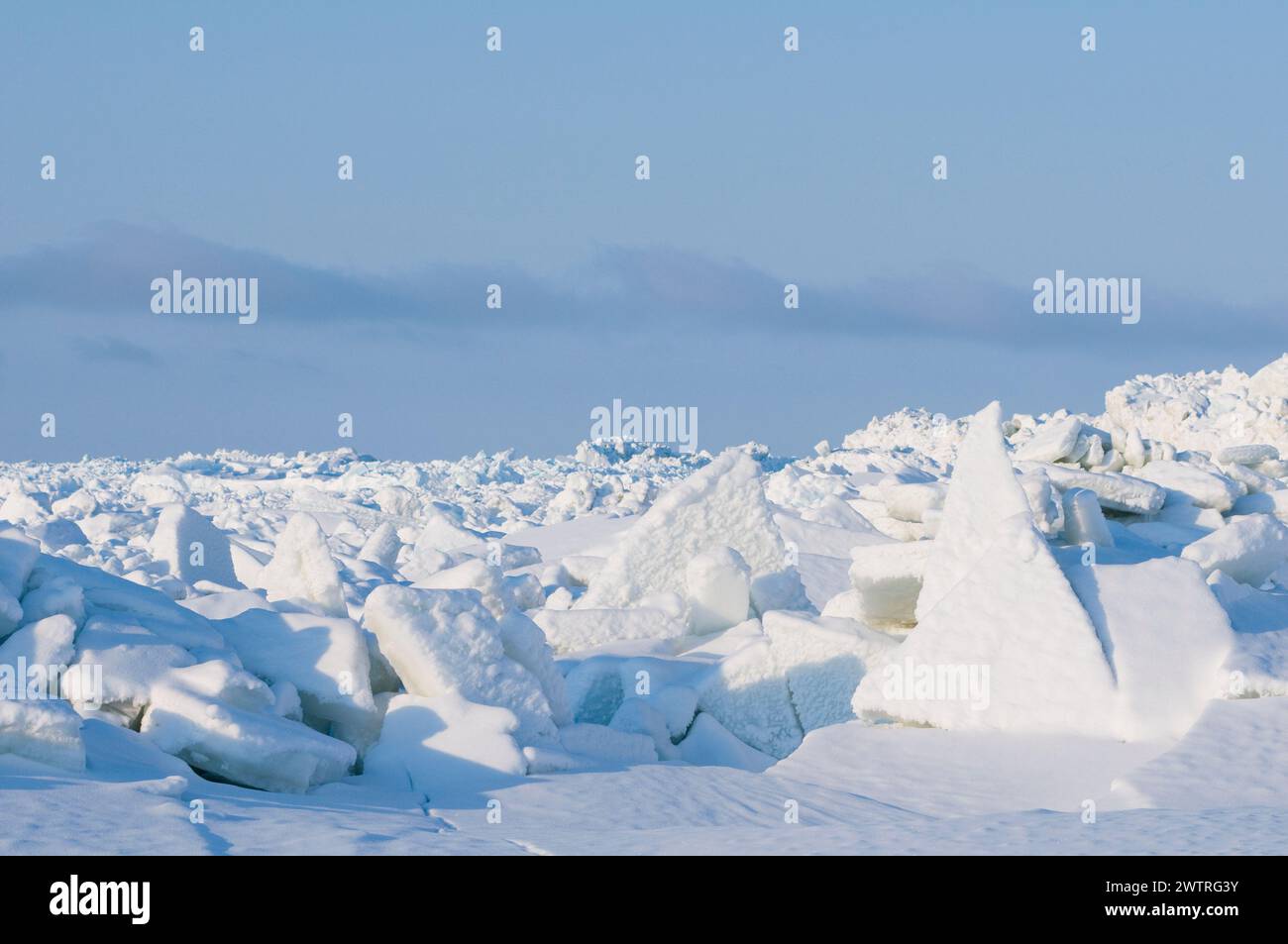 Seascape of rough pack ice over the Chukchi sea in springtime, off ...