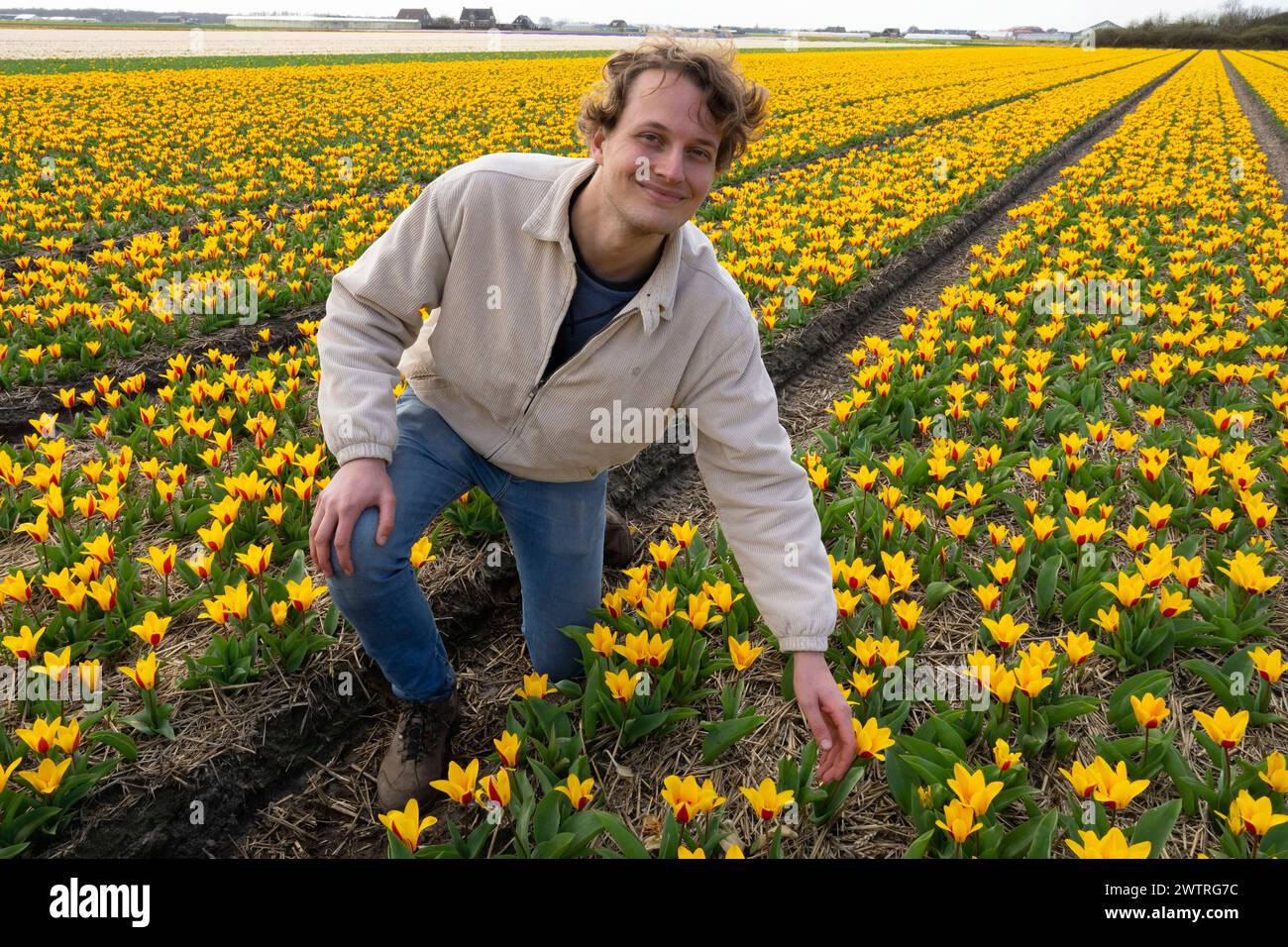 Allan Visser, a third-generation tulip farmer, is interviewed about ...