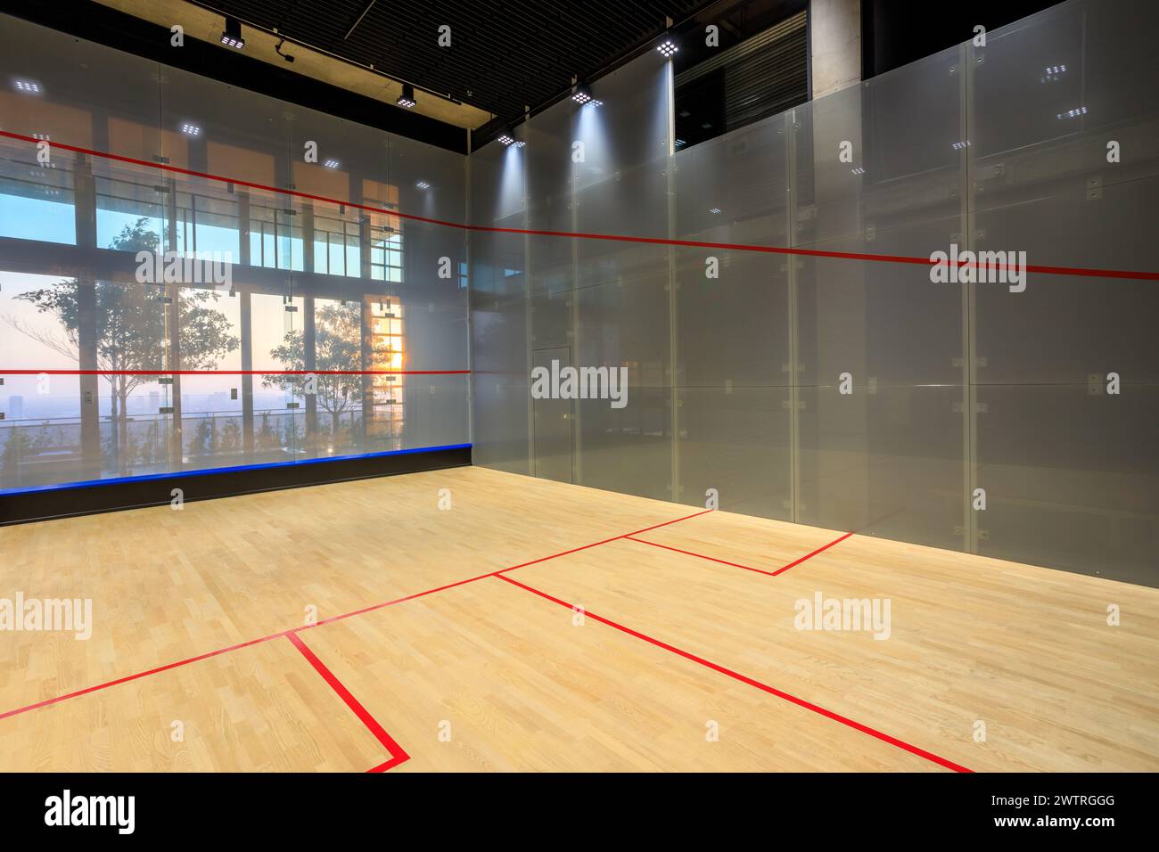 Bangkok, Thailand - March 6, 2024: Indoor squash court in a luxury ...