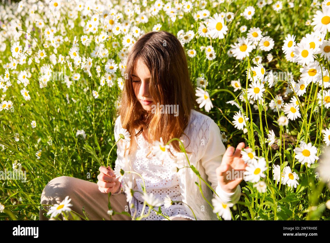 Girl sitting on a meadow covered with wild flowers. Background of field ...