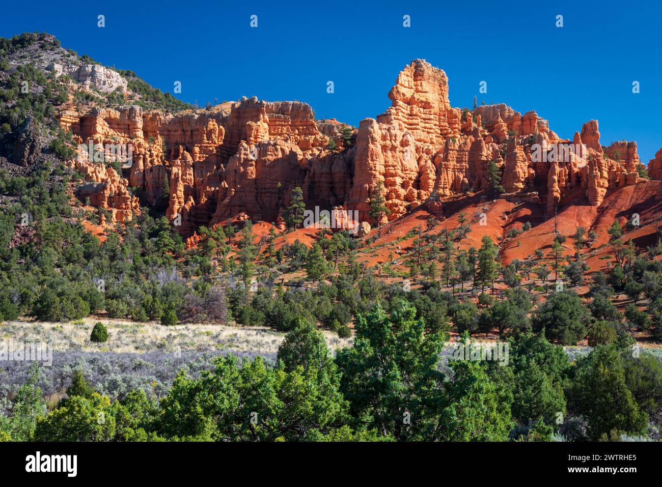 Landscape view along Scenic Byway 12, Red Rock Canyon, Dixie National ...