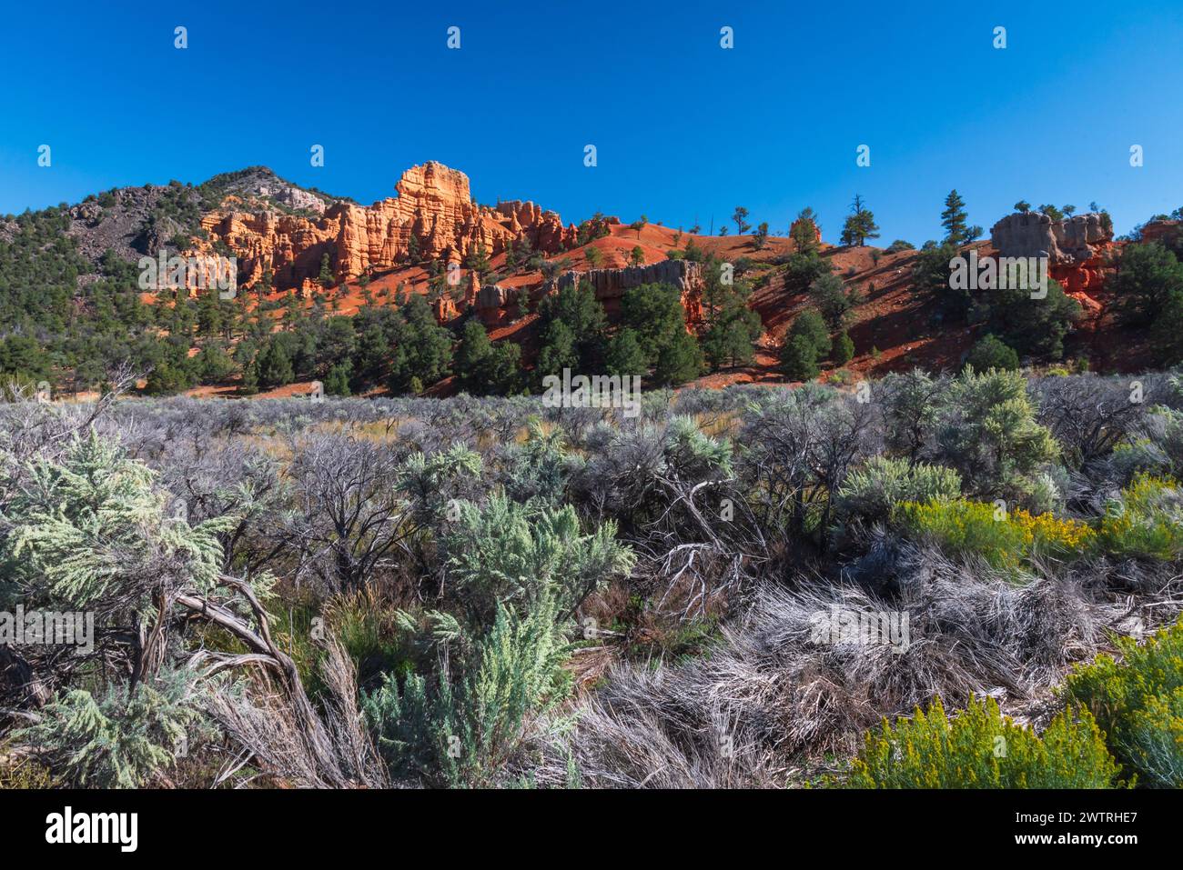Landscape view along Scenic Byway 12, Red Rock Canyon, Dixie National ...